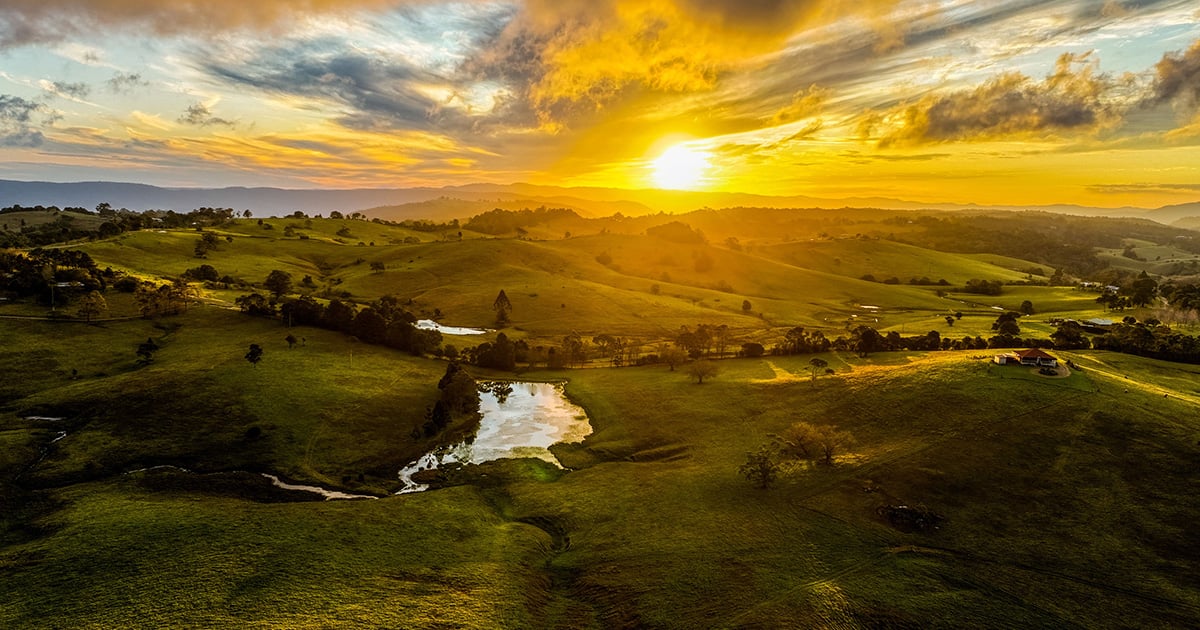 Maleny Magic: Why families are ditching the city for the hinterland ...